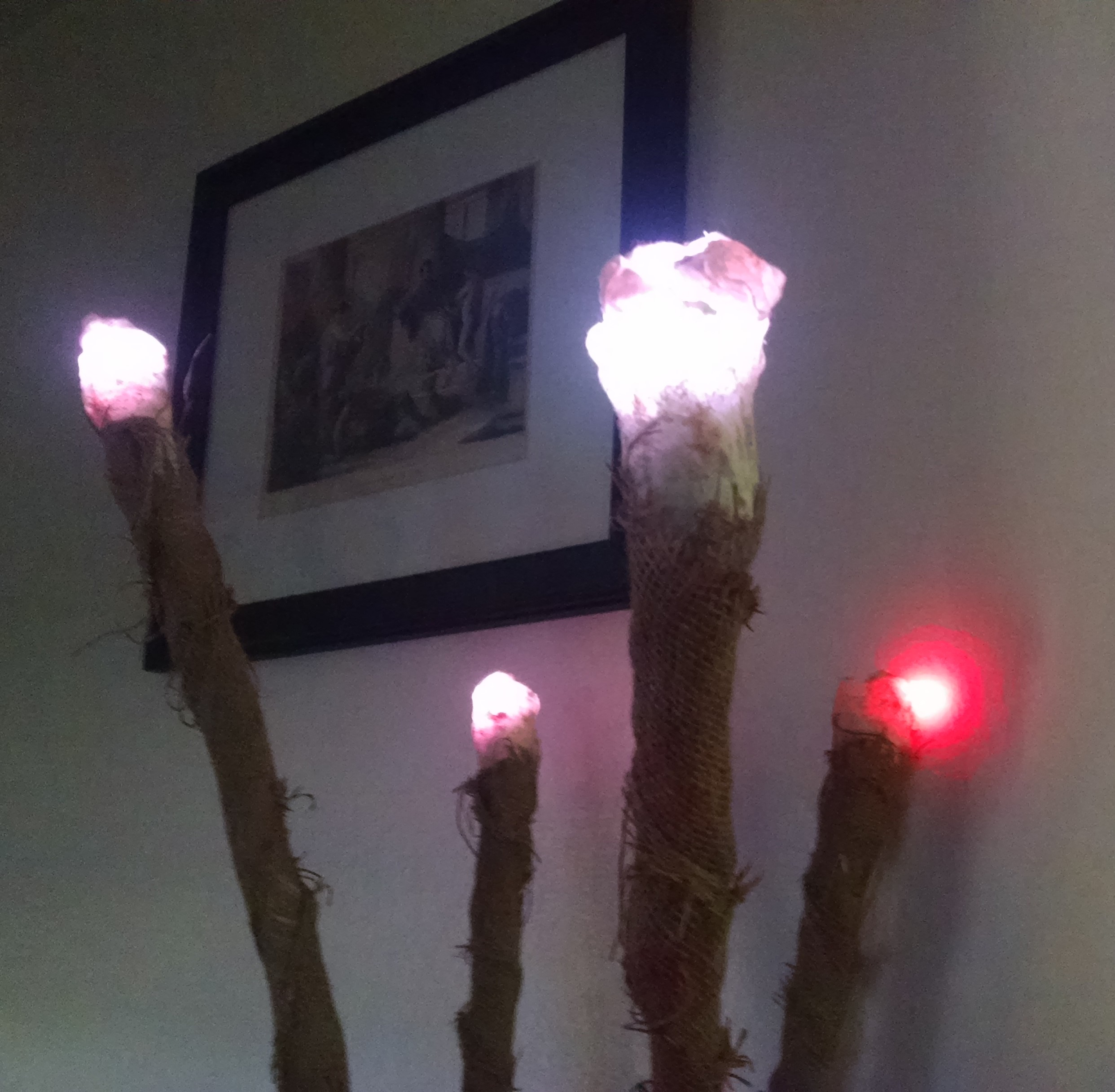 torches – hydroMazing Smart Garden System