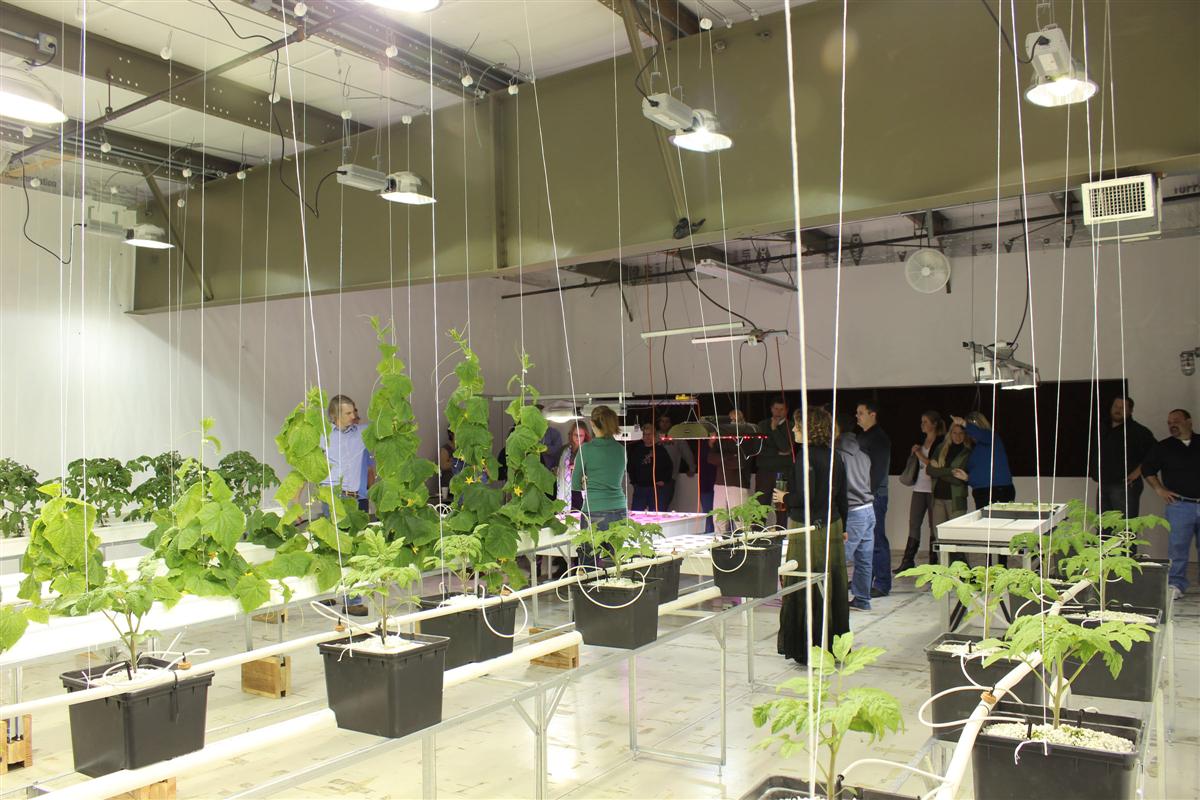 Using a Raspberry Pi and USB Camera – hydroMazing Smart Garden System